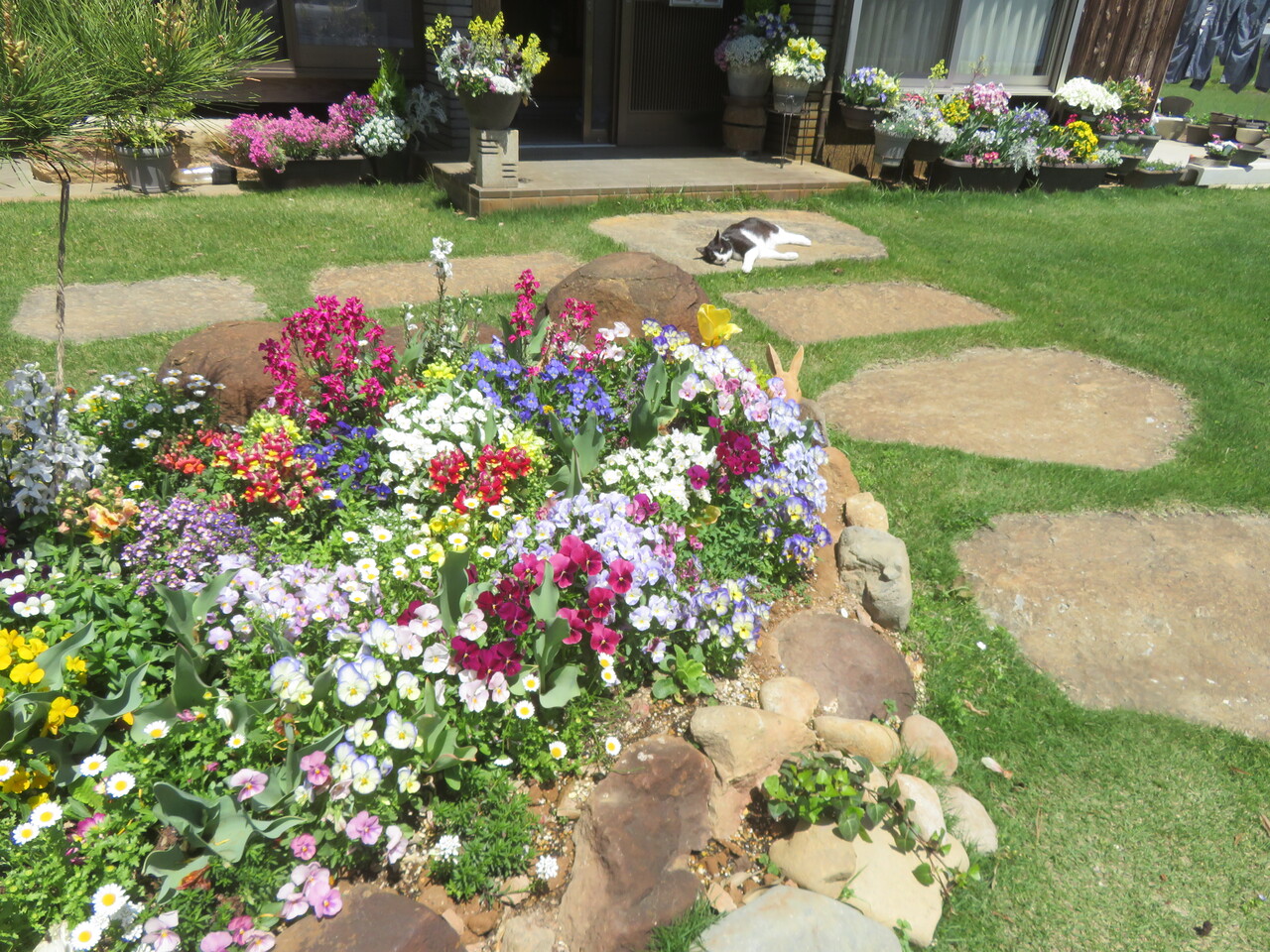 ヒントが生まれるスピリチュアルNo1ブログ:輝く五月の光 - livedoor Blog（ブログ）