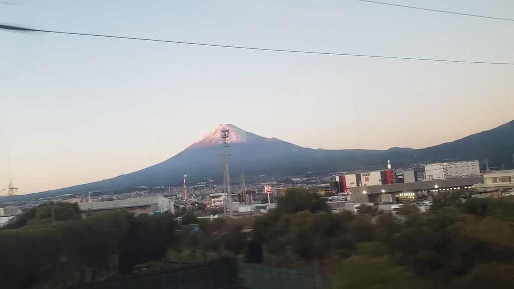 大腸がんとわかってからの日常 : 東京に帰る