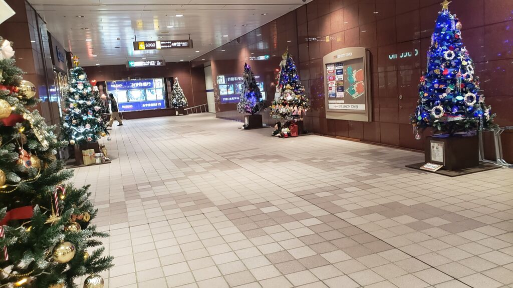 大腸がんとわかってからの日常 : 2022年11月