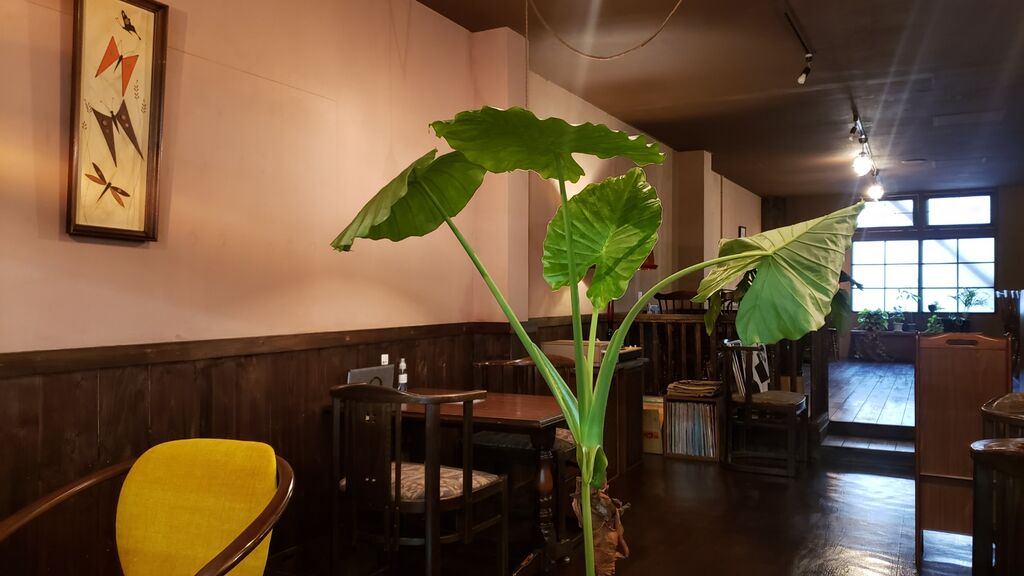 大腸がんとわかってからの日常 : ロンサーフ#2-8 歯科に