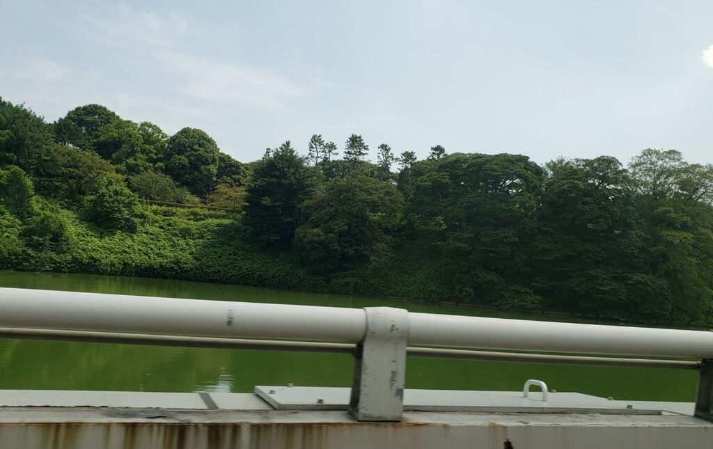 大腸がんとわかってからの日常 : 退院しました