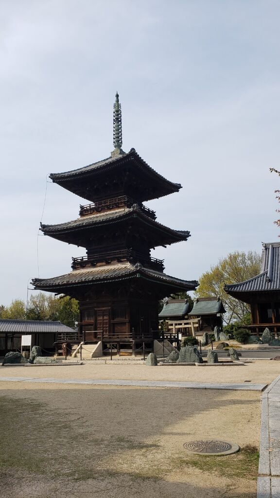 大腸がんとわかってからの日常 : 桜満開🌸