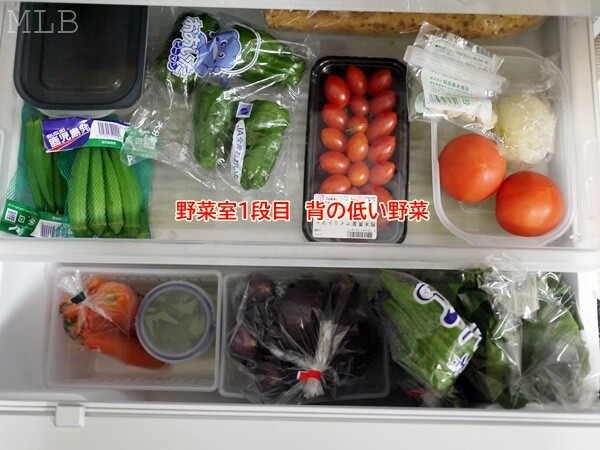 新しい冷蔵庫、冷凍室・野菜室の使い方全公開! : おかえり、My 新しい冷蔵庫、冷凍室・野菜室の使い方全公開! : おかえり、My