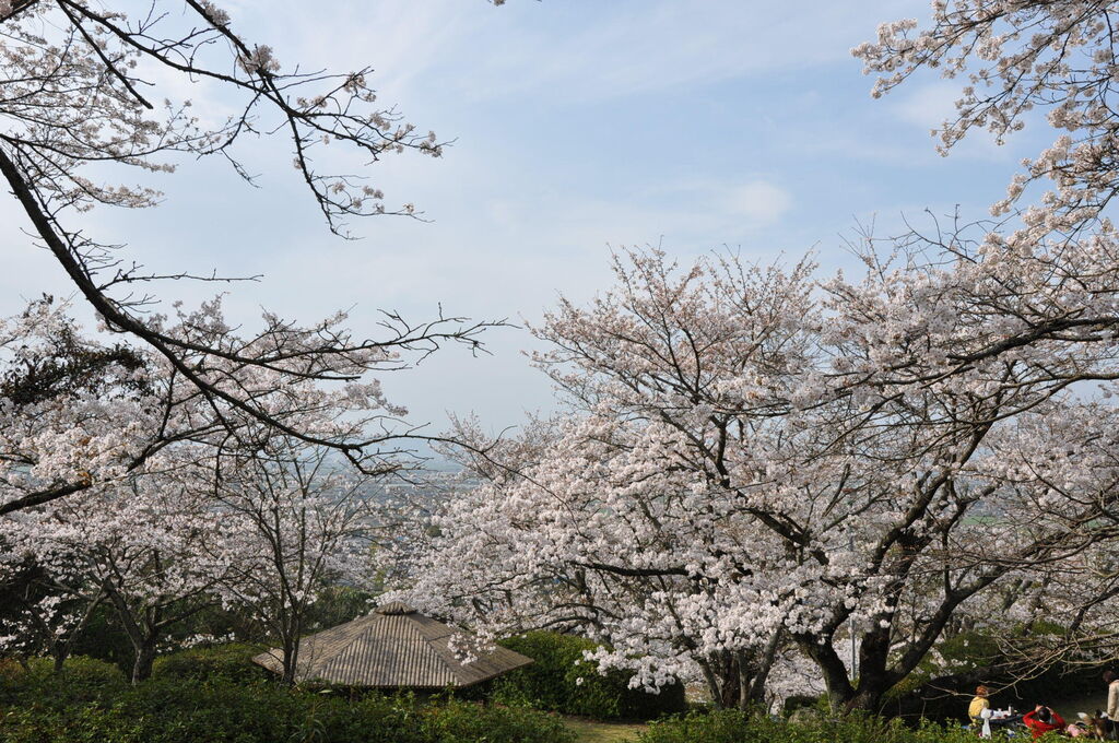 発心公園♪ : 『My Dining』おうちごはん～久留米料理教室