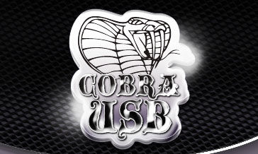 COBRA USB:最新「Multiman Cobra-USB Manager v04.01.01 UPD」ダウンロード - 【任】者のDS情報屋