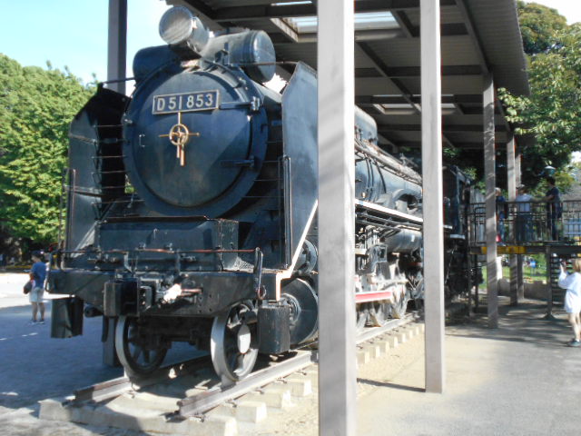 PublicTransportDiary : 飛鳥山公園に保存･展示されている準戦時型D51