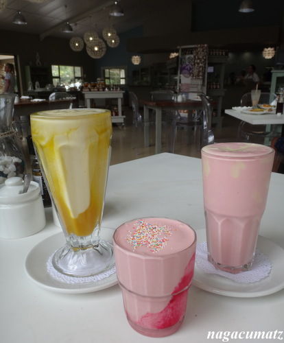 The Waterberry Coffee Shoppe ＜カフェ＞ : 徒然なる all over the World