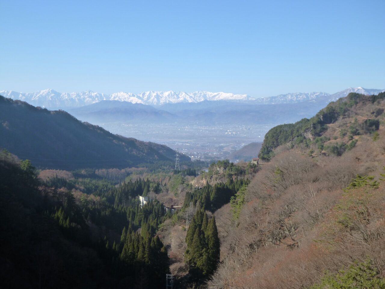 小春日和に。。。 : bsltd深夜の絵日記帳