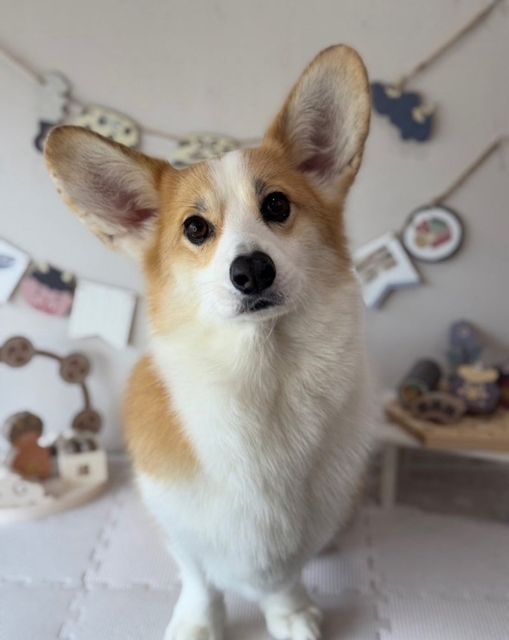 月に一度のキレイキレイ、、、。 : 華の散歩道(Hana's Diary)