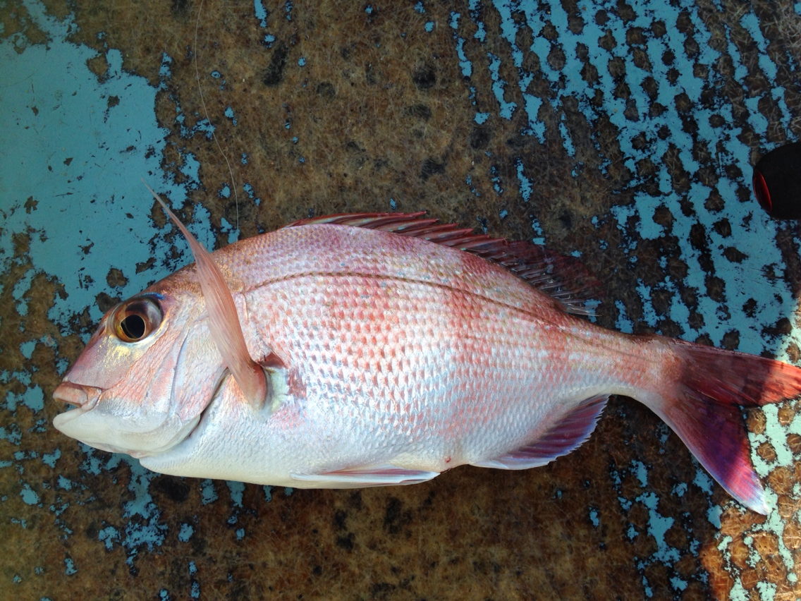 ながやすさんAM : nagata-note