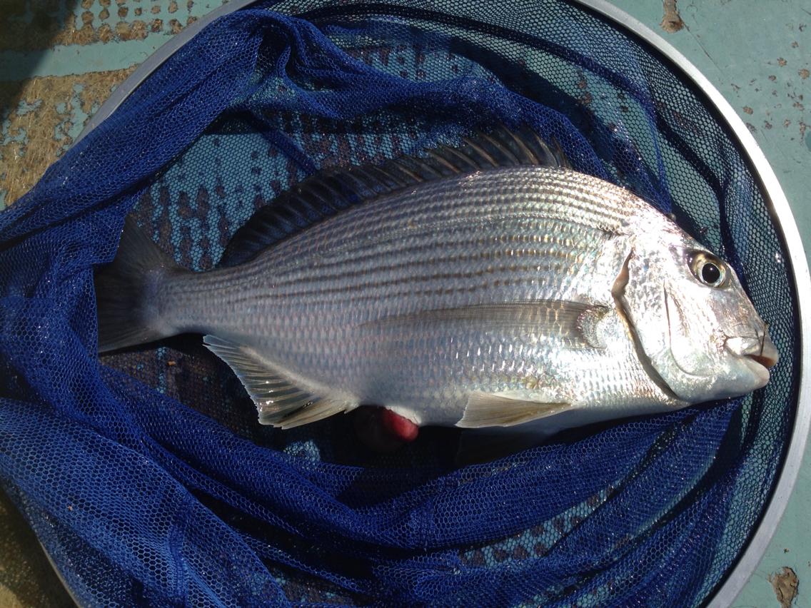 ながやすさんAM : nagata-note