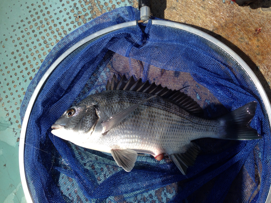 ながやすさんAM : nagata-note