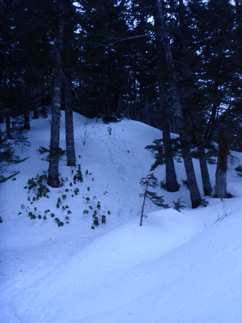 3月5日北アルプス焼岳（標高2455m） : 山サラリーマン・ナガタカの人生記