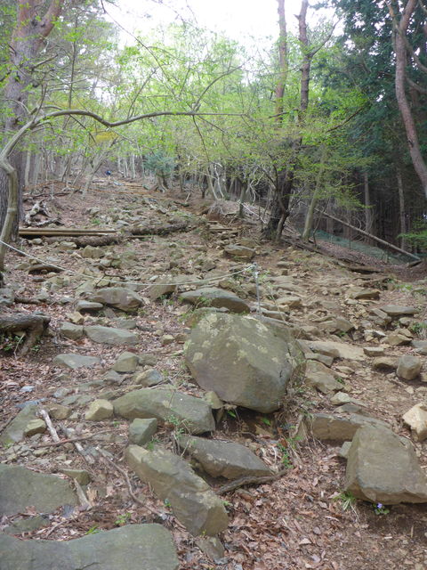 2016年4月16日 日本百名山の丹沢山（神奈川県・標高1567m）トレーニング 1回目 : 山サラリーマン・ナガタカの人生記