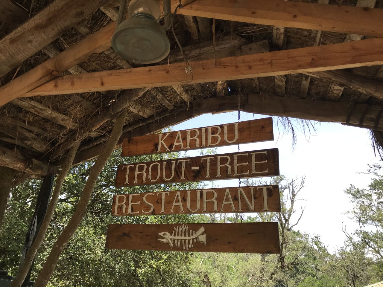 Trout Tree Restaurant - Nanyuki : ナイロビあちらこちら