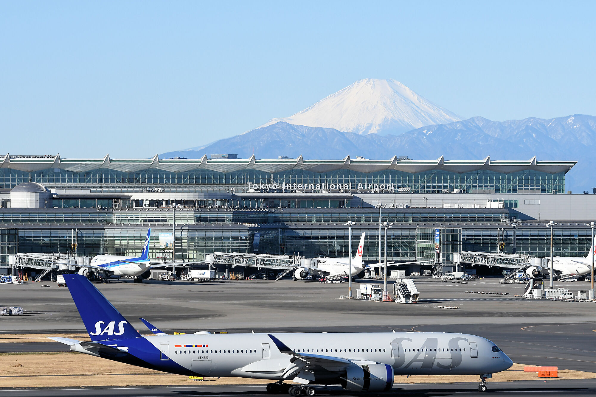 Wing works -2nd Stage-:SAS Airbus A350-941 SE-RSC(2025.2.9)