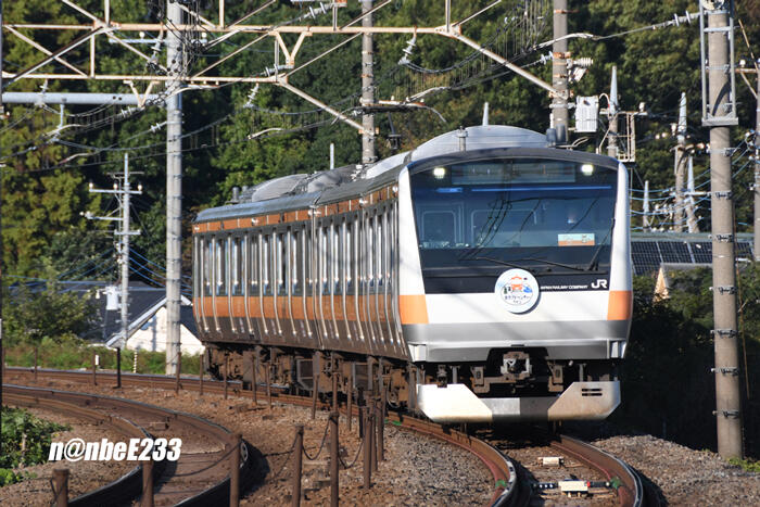 なんびーの週末鉄 本館 : 2024..11.04. 中央線E233系/0 T40編成「青梅線開業130周年記念」HM付