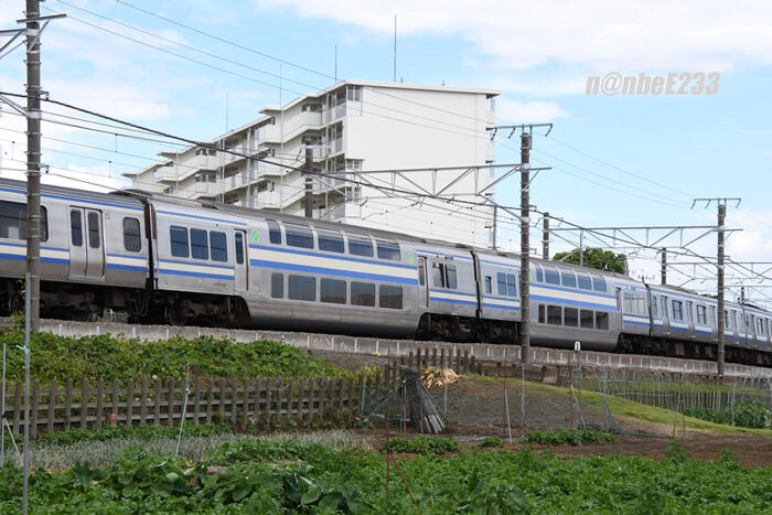 2024.05.29. 横須賀線E217系 Y-26編成 長野配給＠南武線 | なんびーの週末鉄 別館