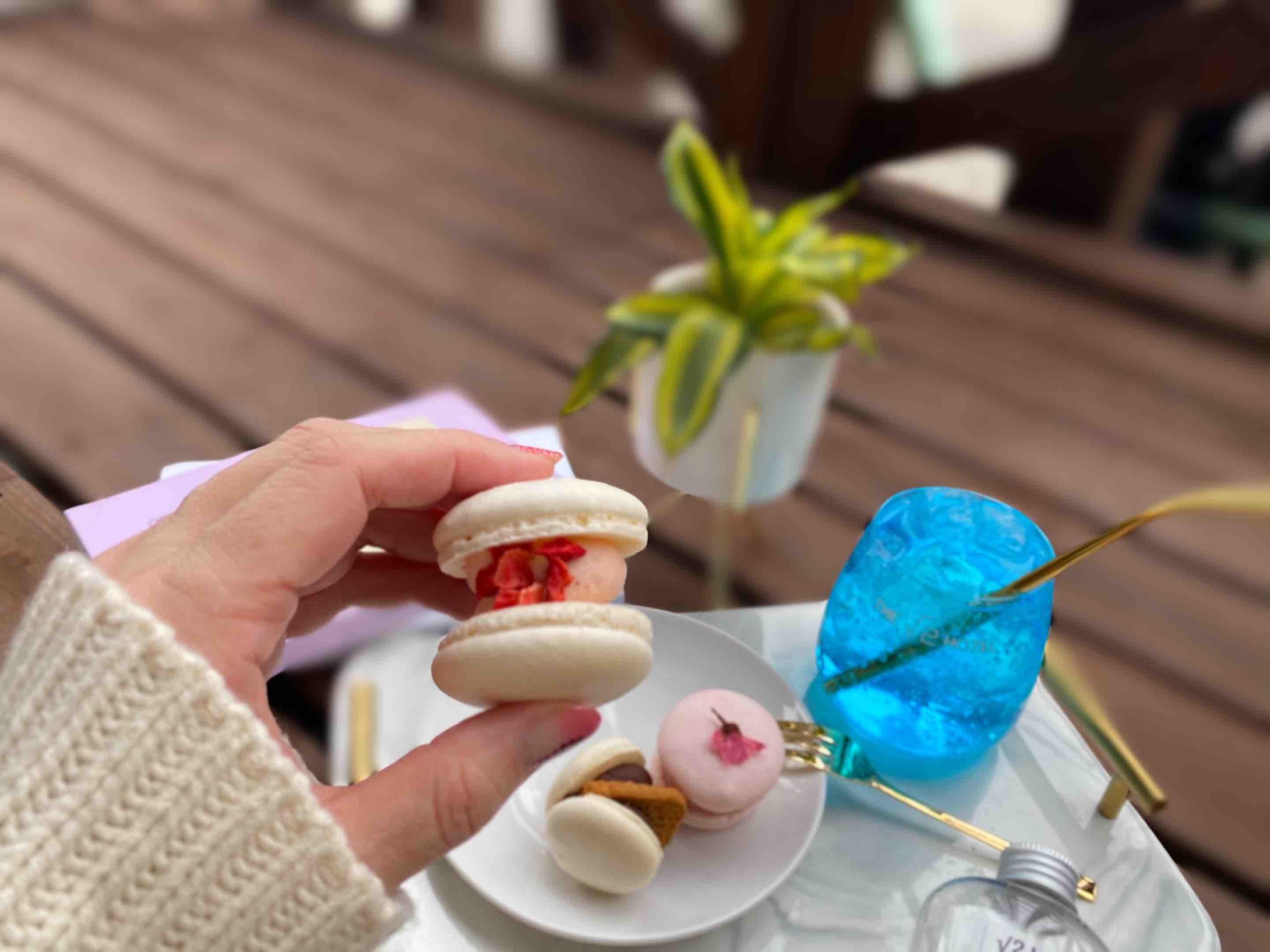 【東寺】きゅんとするかわいいカフェオープン！ ～ROOT2 COFFEE & DINING : 自己中心食日記 Powered by ライブドアブログ