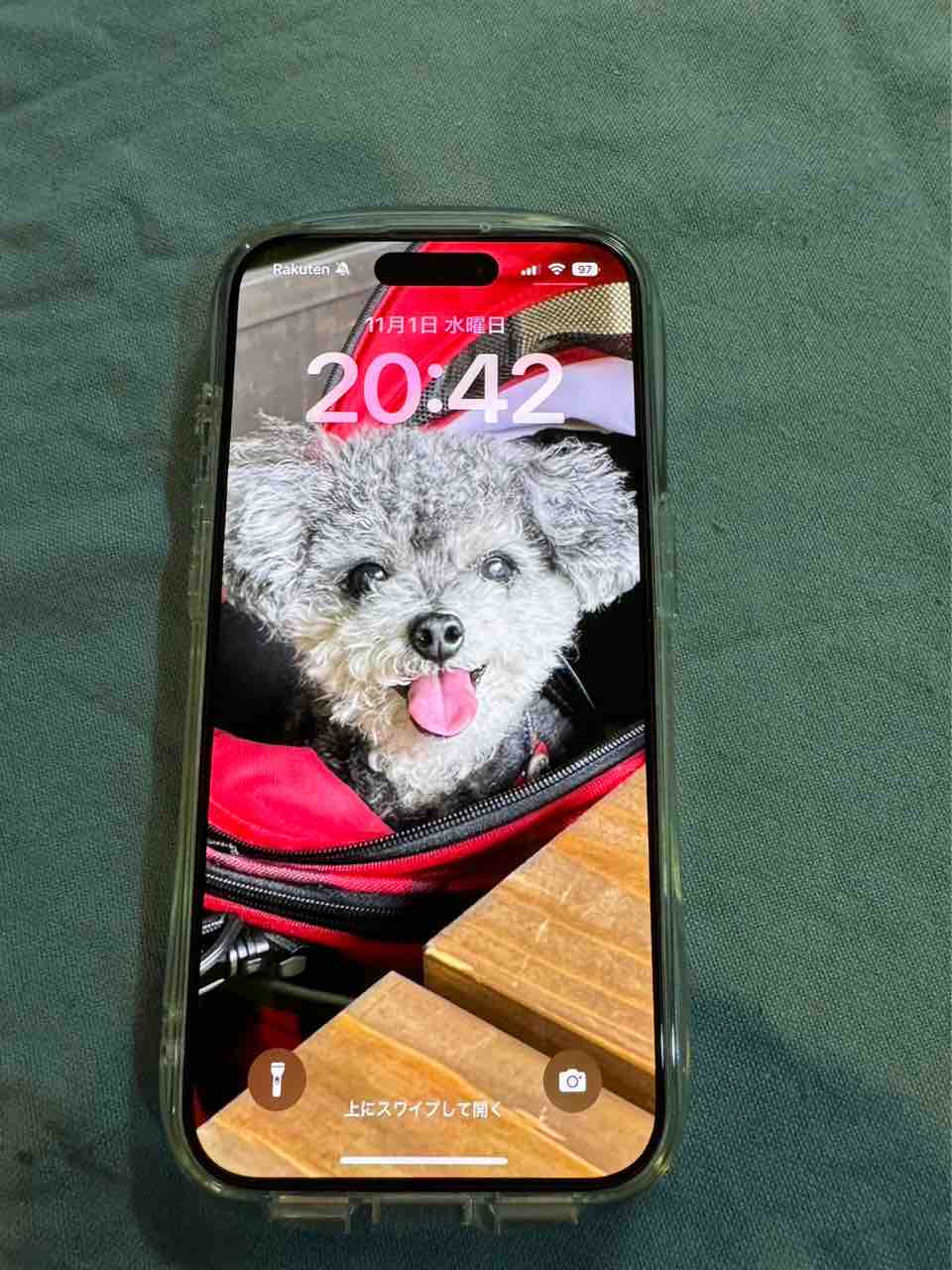 iphone15pro : トイプー三姉妹ナルココハイジHouse