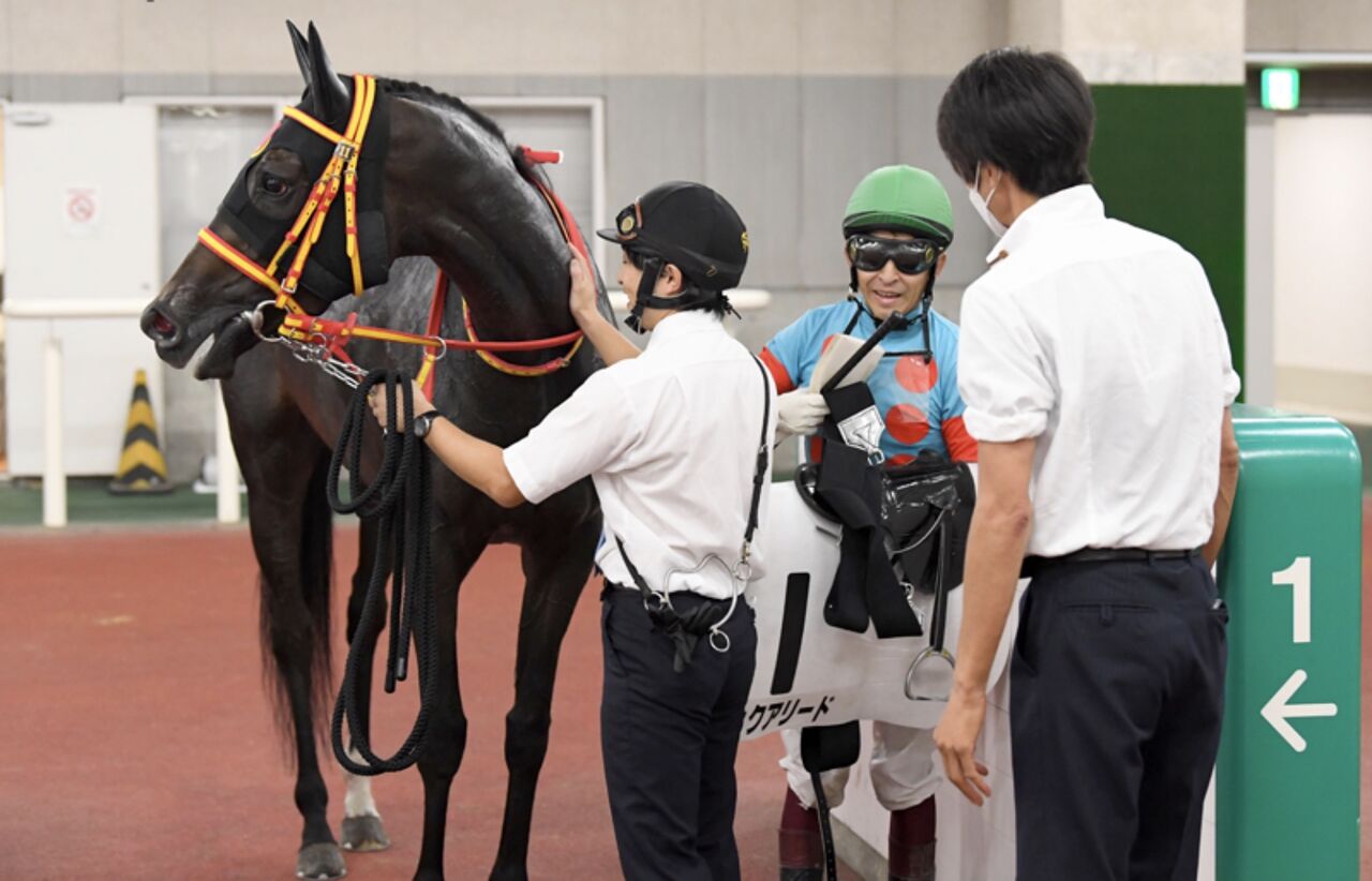 キャリックアリード Carrick a Rede wins race 4 at Niigata | Narvick Superstars