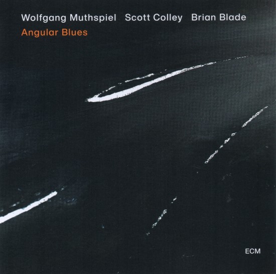 Wolfgang Muthspiel, Scott Colley, Brian Blade / Angular Blues : Jazz ...