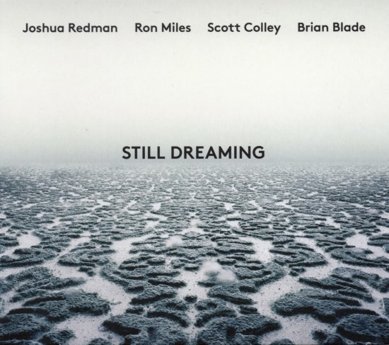 Joshua Redman, Ron Miles, Scott Colley, Brian Blade / Still Dreaming ...