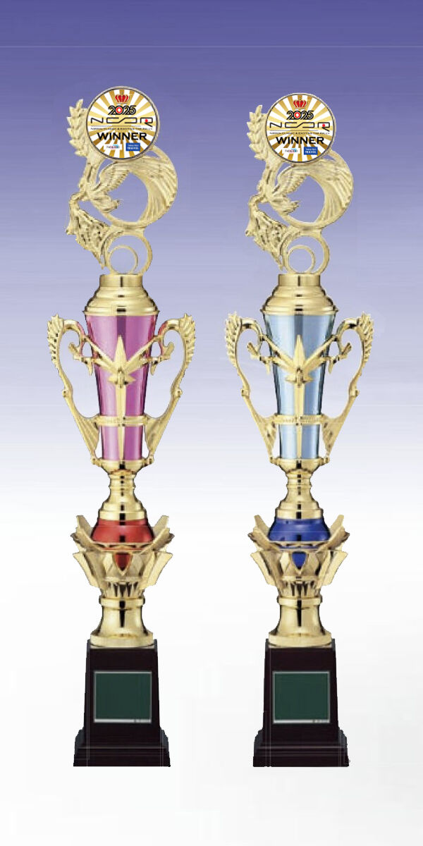 NCCR2025 各部門総合優勝トロフィー : NCCR 2025