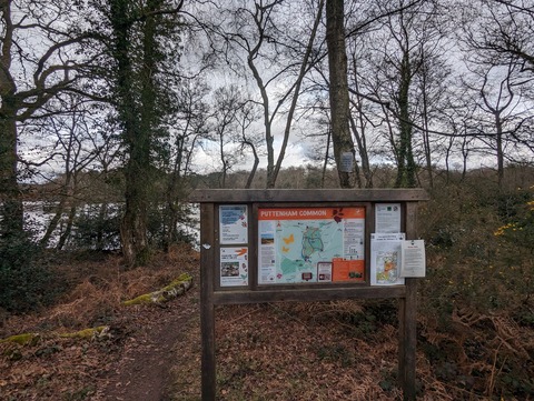 Puttenham Common : THE WORLD OF THE NEANDERTHAL のblog