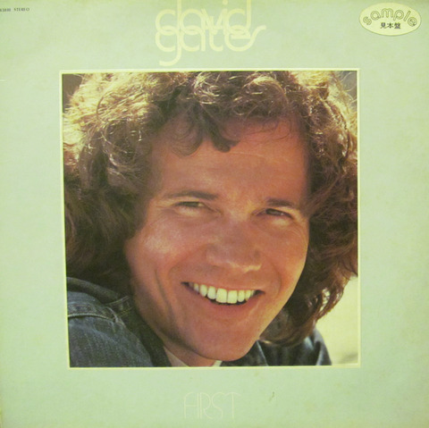 DAVID GATES/First収録のLorileeはAORファン必聴！COCONUTS DISK新入荷＃vinyl # ...
