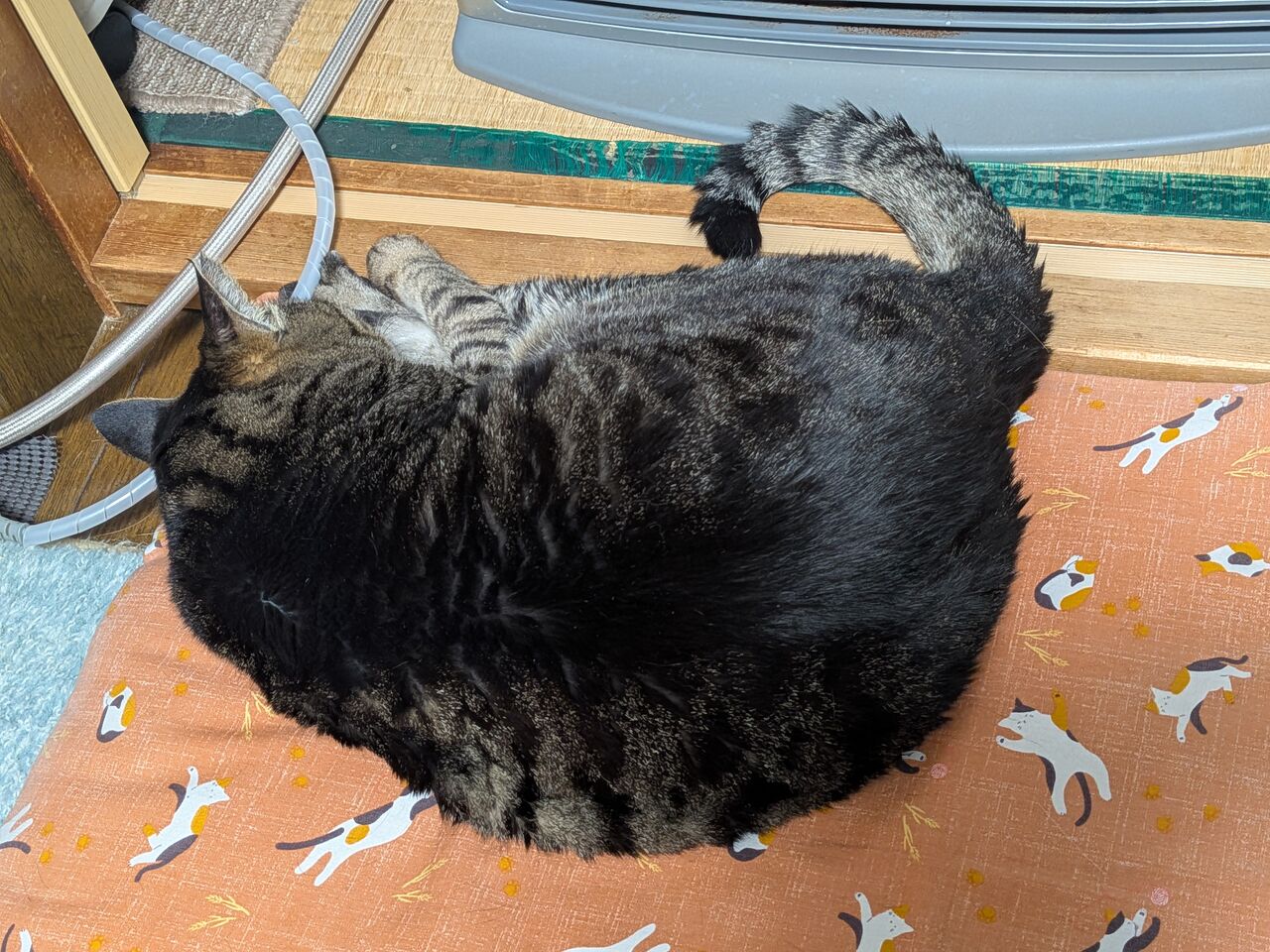 陽だまり堂:久し振りに・・・♪ - livedoor Blog（ブログ）