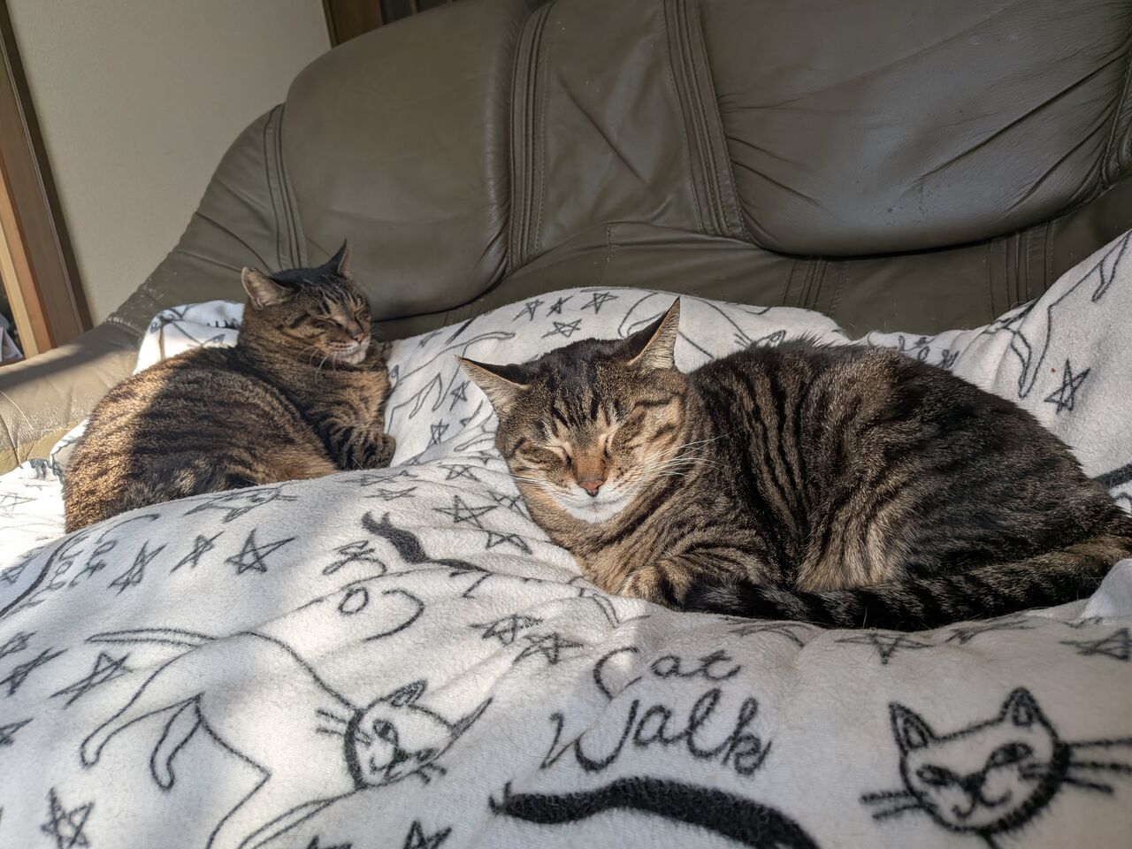 陽だまり堂:久し振りに・・・♪ - livedoor Blog（ブログ）