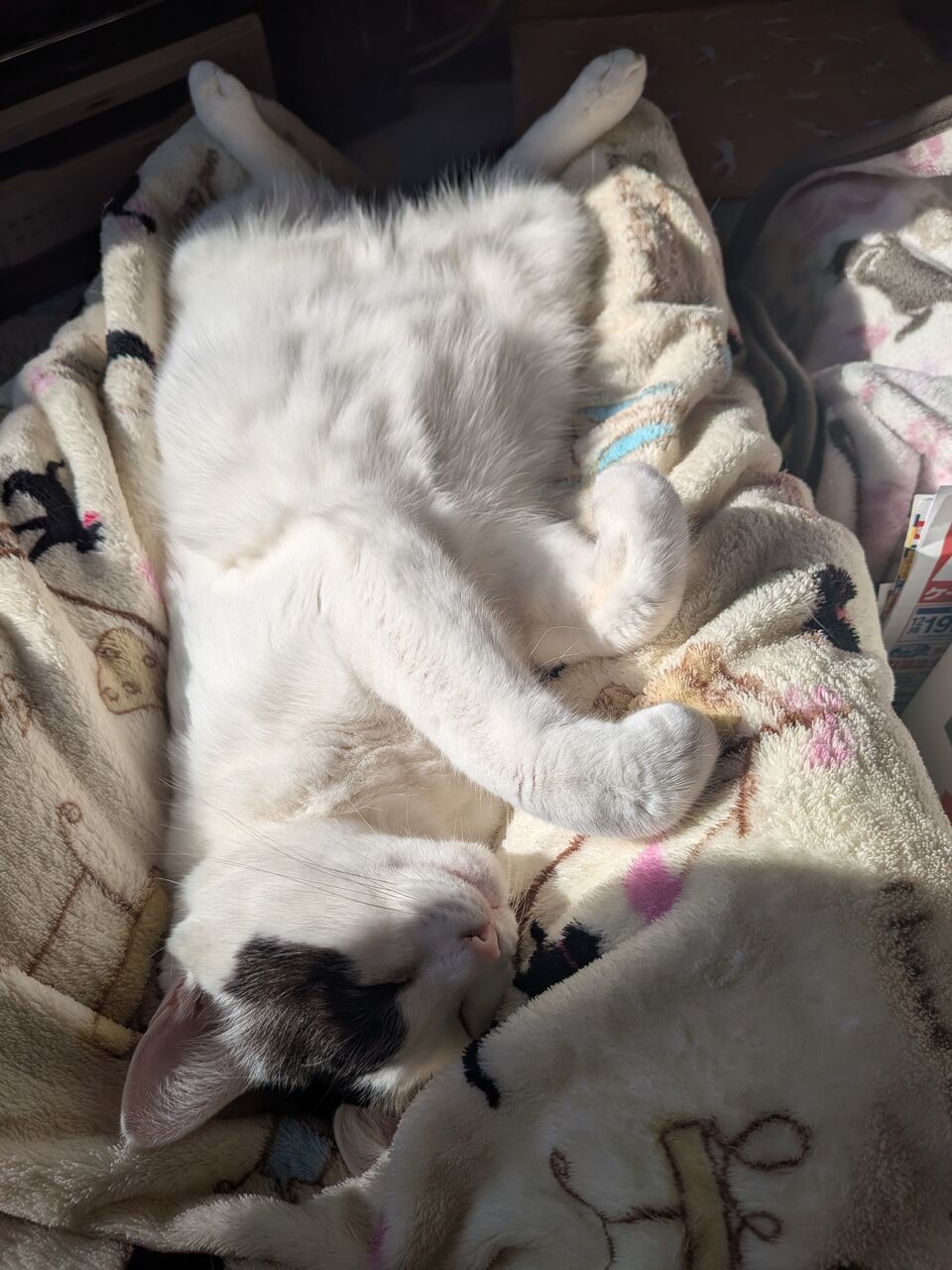 陽だまり堂:久し振りに・・・♪ - livedoor Blog（ブログ）