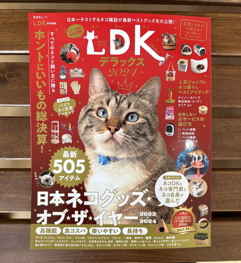 買い！オススメ雑誌★ネコDK : 猫式ブログ～里親募集型猫カフェ