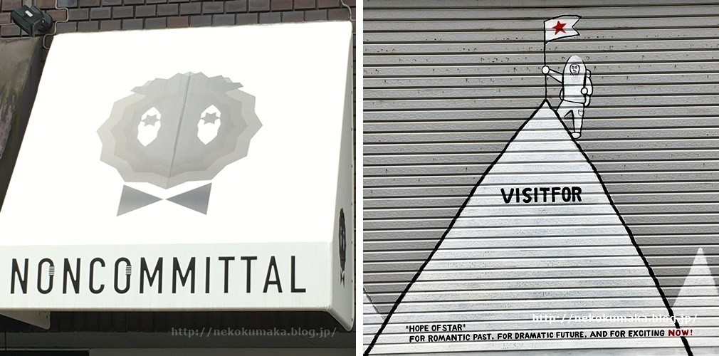 #堀江 #メモメモ φ( _ ﾒ) : 猫熊科