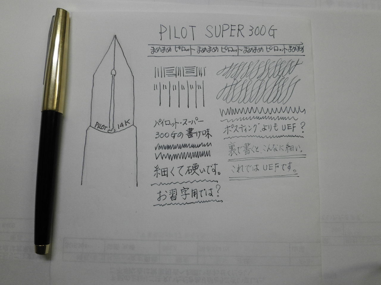 万年筆おやじの備忘録 : PILOT SUPER-300G