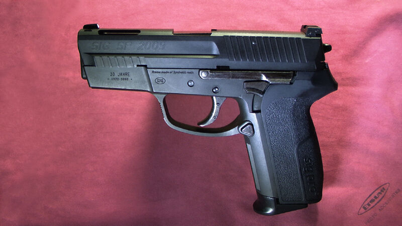 KSC Sig SP2009 GSG9 30th Prt-2 : 風の谷の夜間飛行