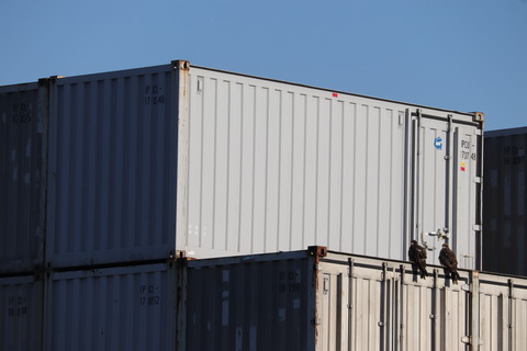 IPCU-170748 : new_ilya's Container Archives