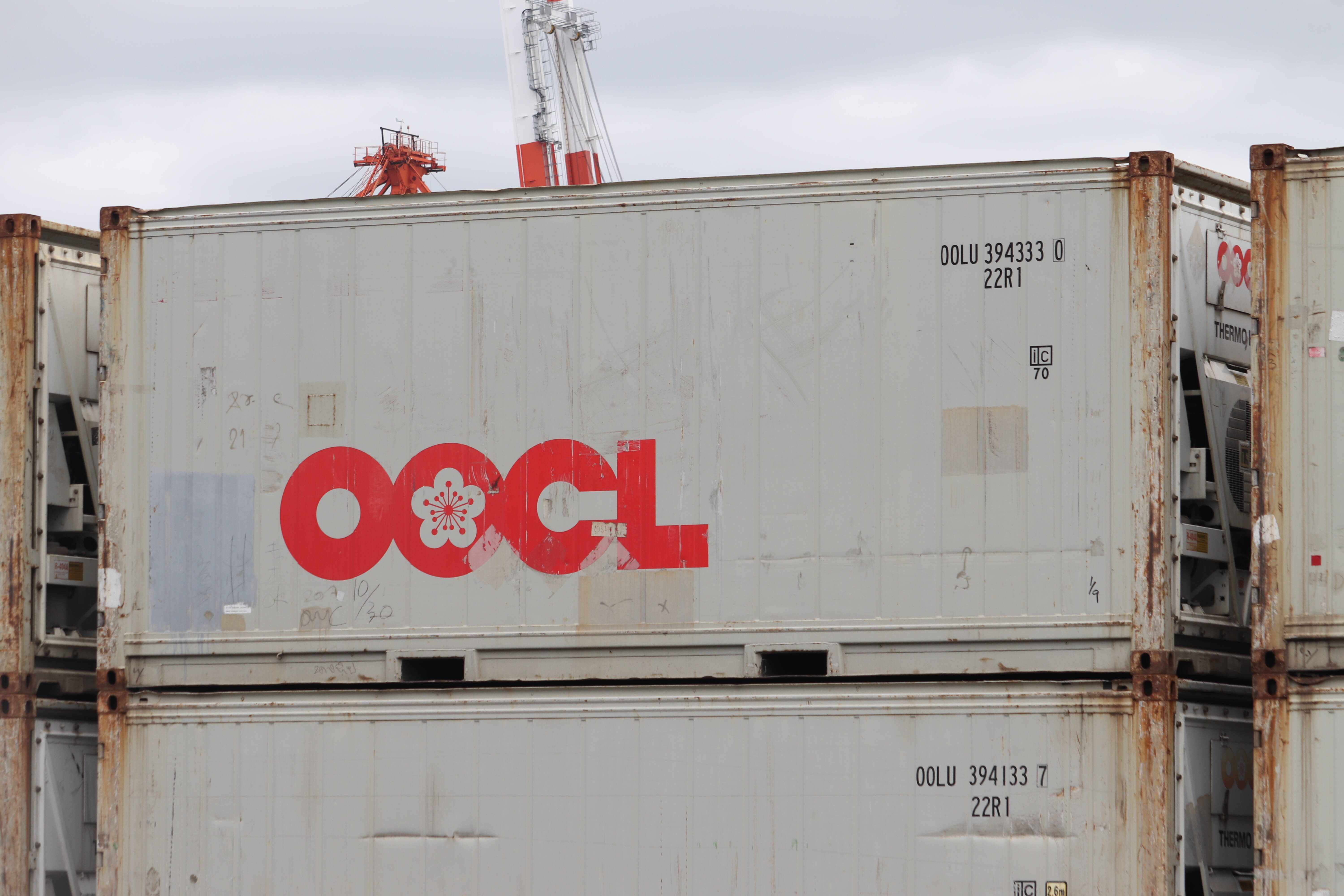 OOLU 394333 0 : new_ilya's Container Archives