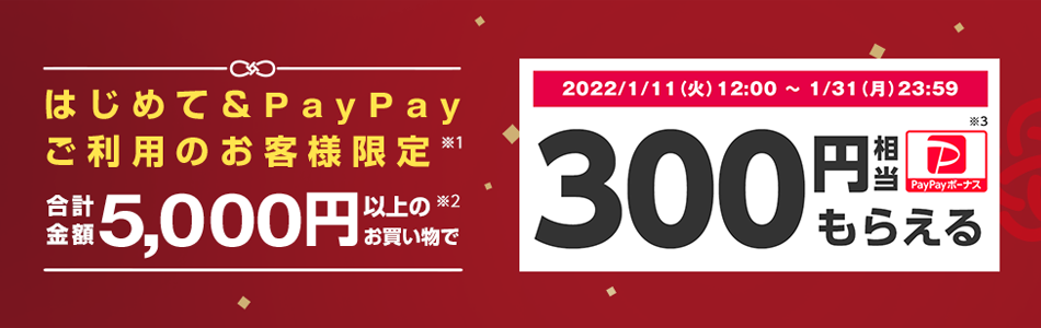 NorthFlatJapan 公式ブログ : はじめてor久々のお買い物がお得！「はじめて＆PayPayご利用のお客様限定 300円相当もらえるキャンペーン」
