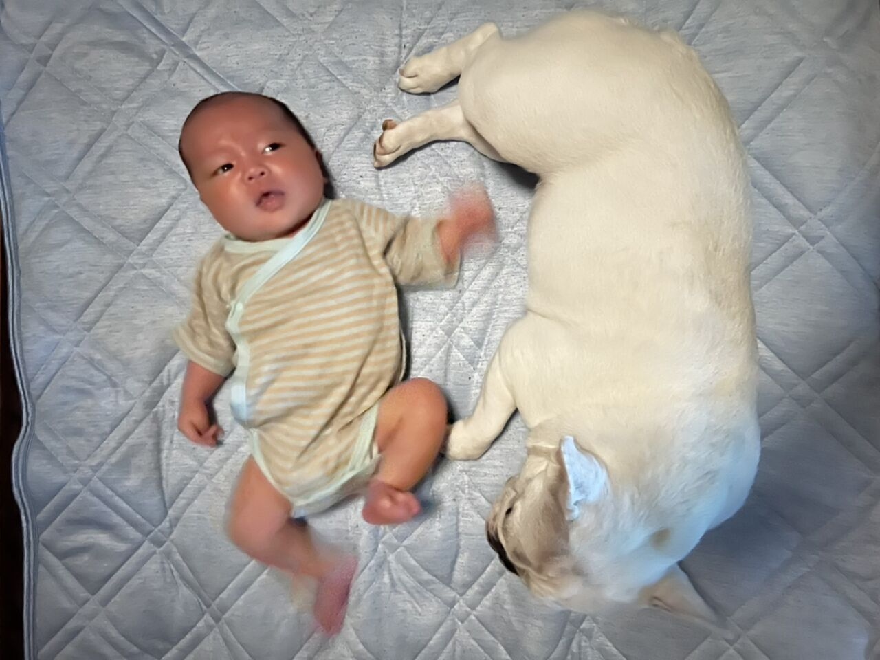 Shimmy Baby : Nick Show!! Blog