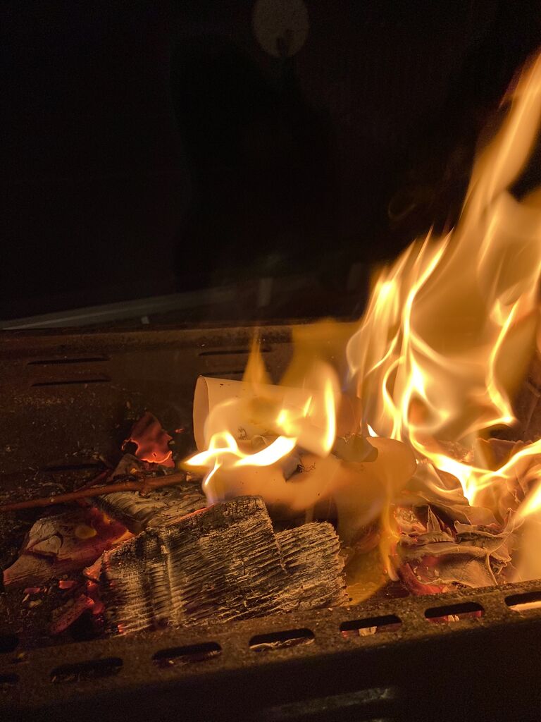 RoLL On Fire : Nick Show!! Blog