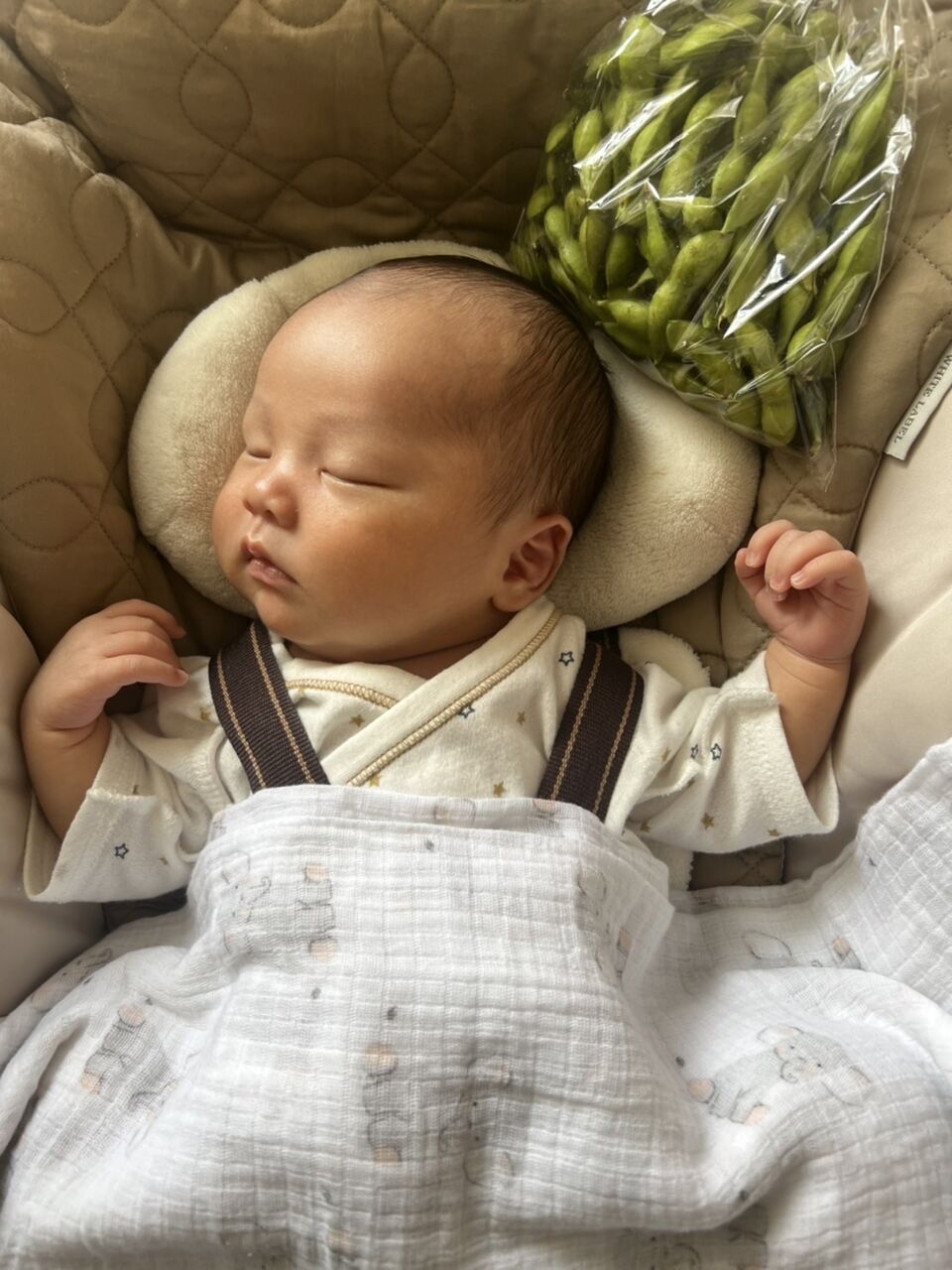 Shimmy Baby : Nick Show!! Blog