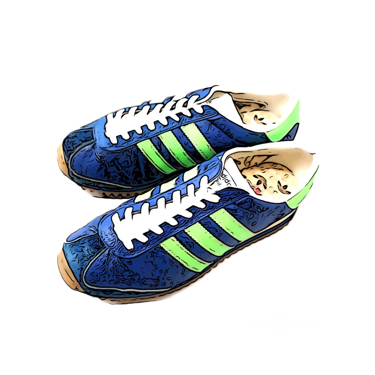 adidas - Condor 】 : RIVOAR BLOG