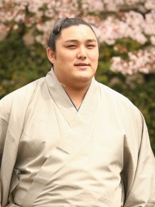 お相撲さんアルバム ー仲良し編ー | ガールズちゃんねる - Girls Channel