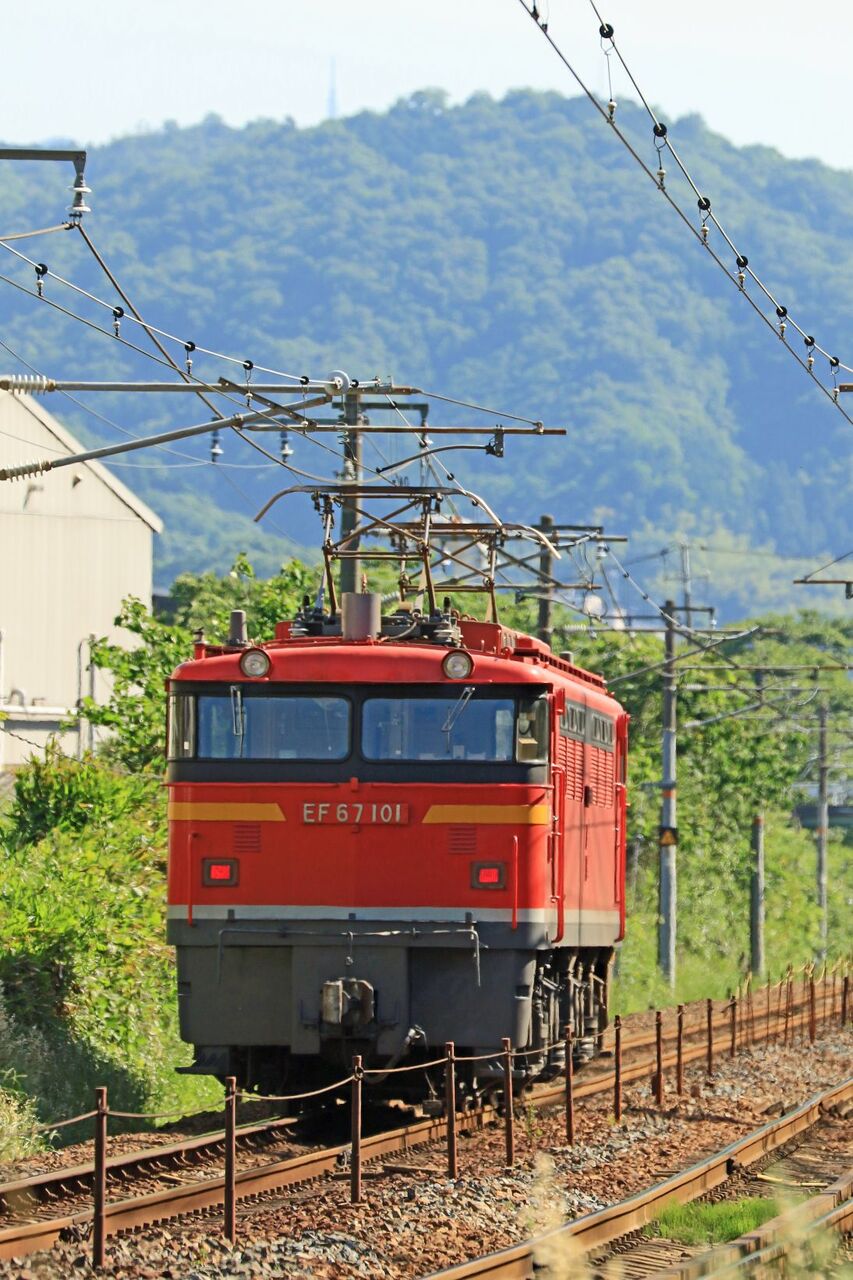 JR貨物 EF67-101号機 : 鐵道写真公開所 参号機