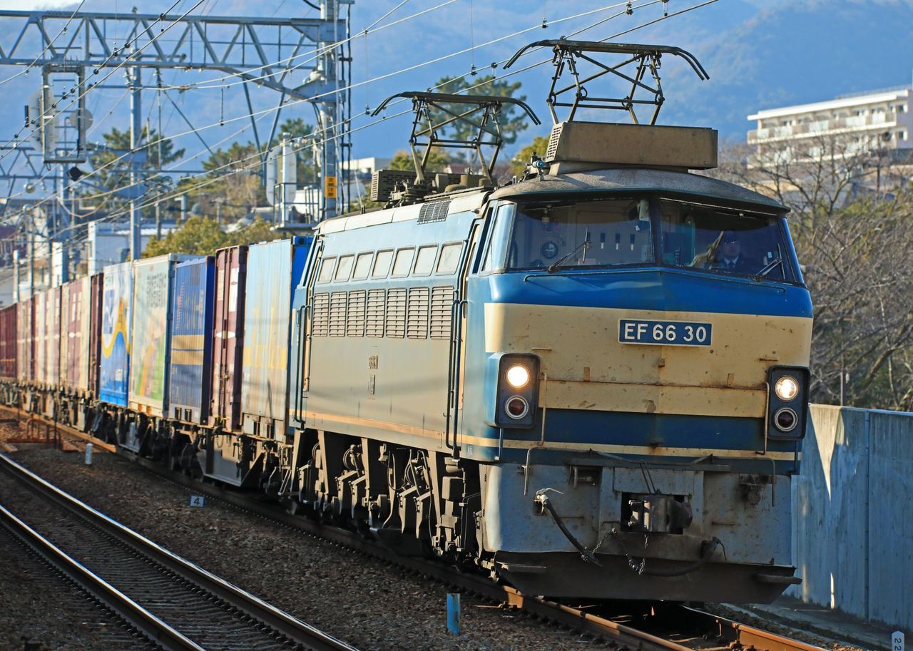JR貨物 EF66-30号機 : 鐵道写真公開所 参号機