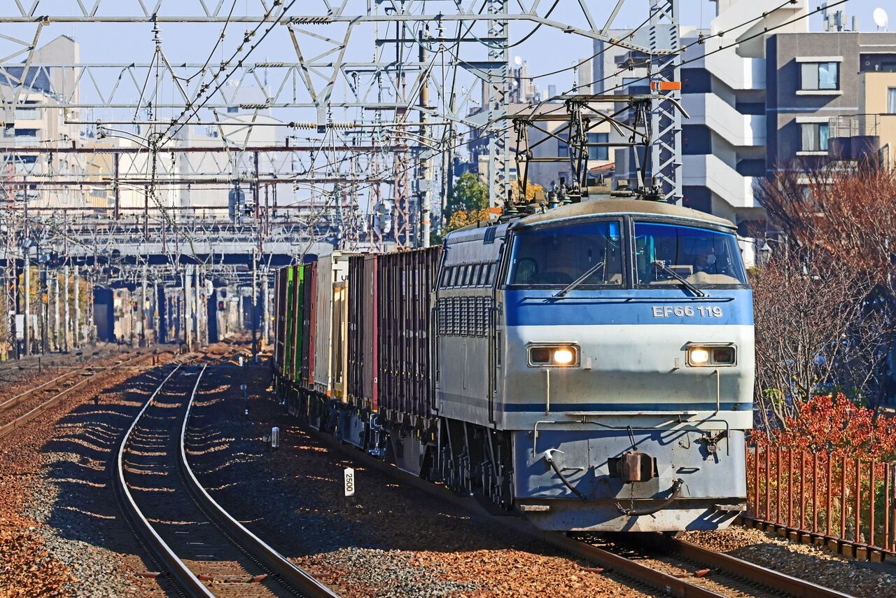 JR貨物 EF66-119号機＠2077レ : 鐵道写真公開所 参号機
