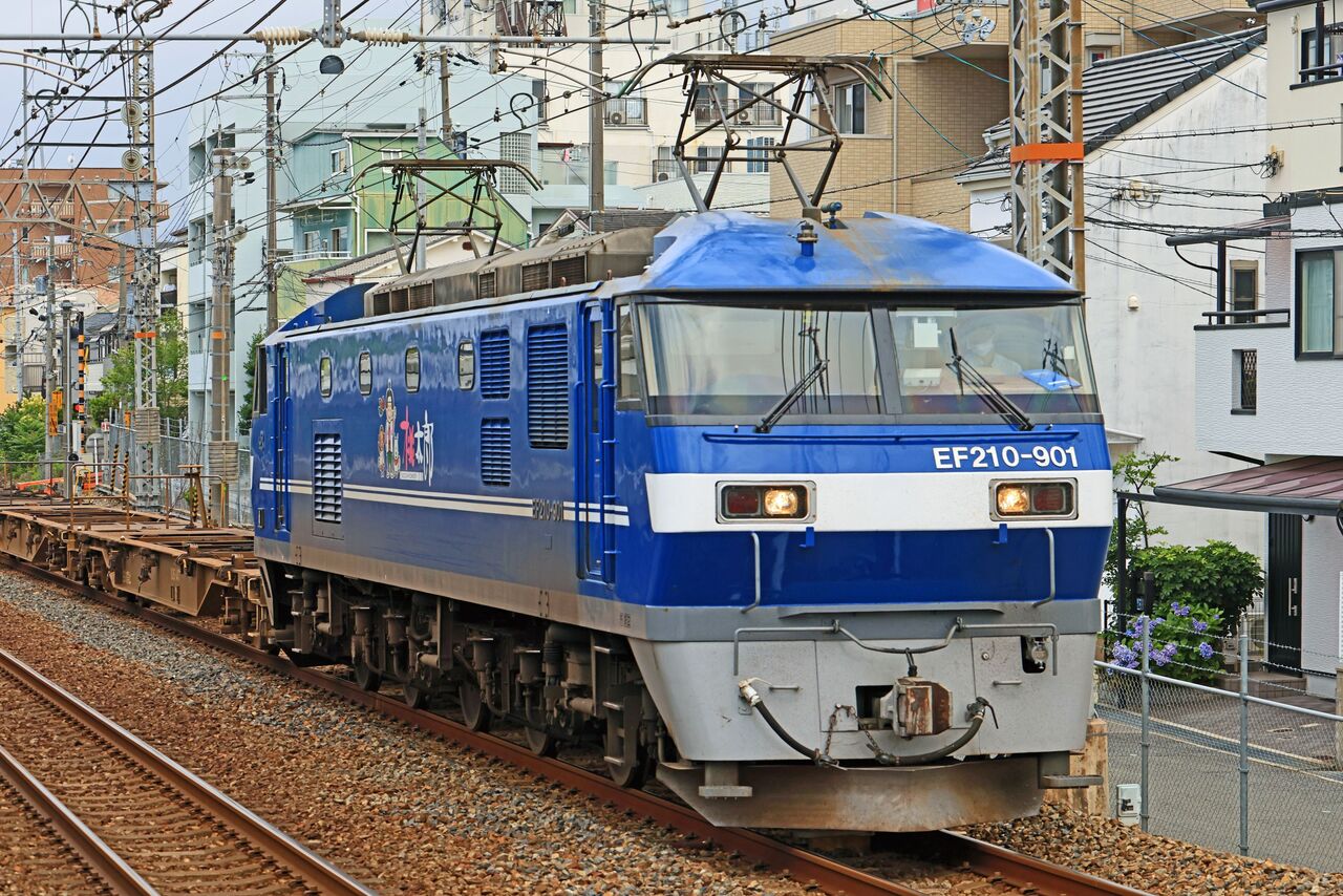 JR貨物 EF210-901号機 試作機 新塗色 : 鐵道写真公開所 参号機