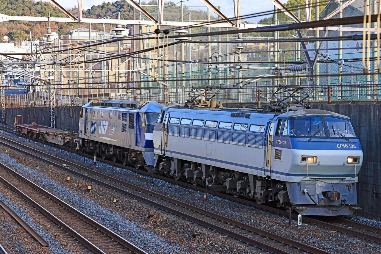 JR貨物 EF66-123号機＋EF210-104号機 : 鐵道写真公開所 参号機